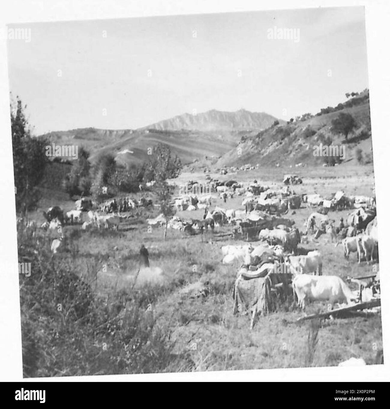 Behind the movement Cut Out Stock Images & Pictures - Alamy