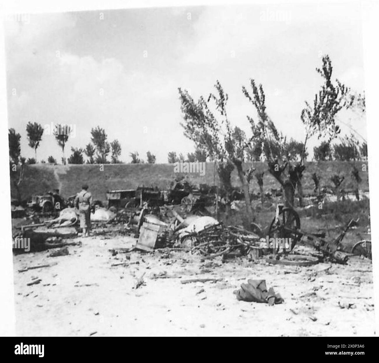 FIFTH ARMY : GERMANS CAUGHT ON THE ROAD TO THE PO - German transport ...