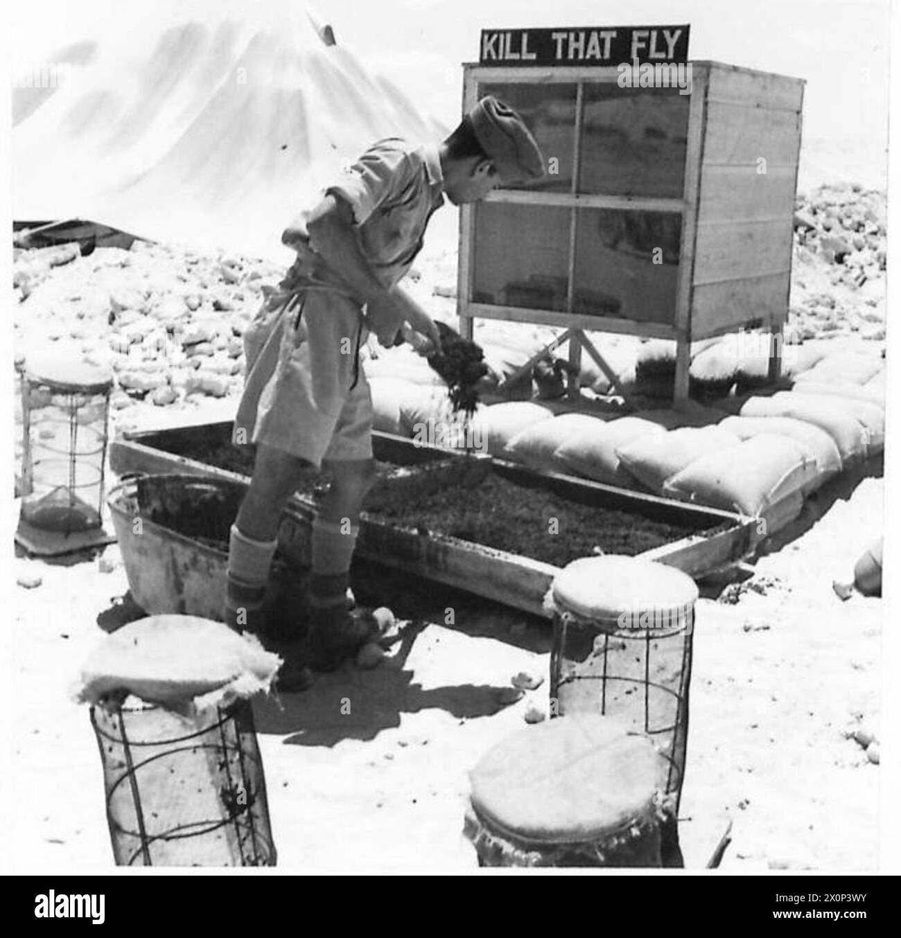 Traps and tins are emptied into a trough to be sprayed with chemicals ...