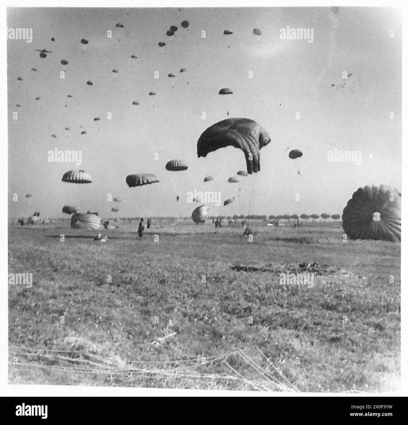 Royal welch regiment Cut Out Stock Images & Pictures - Alamy