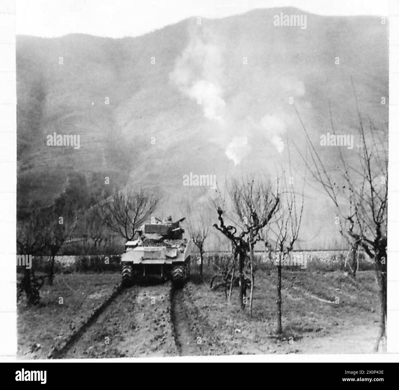 78 DIVISION TRAINING SCHOOL - A Sherman tank in action Photographic ...
