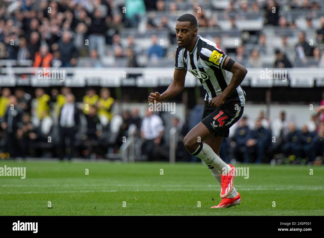 Newcastle United's Alexander Isak celebrates after scoring the first ...