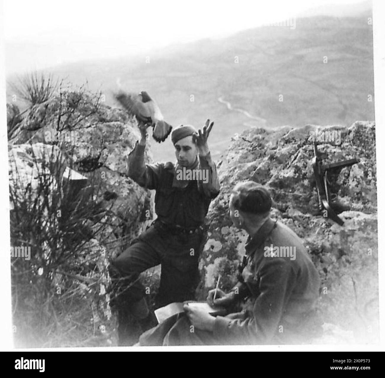 ITALY:EIGHTH ARMYCARRIER PIGEONS PROVE THEIR WORTH IN ITALY - The ...