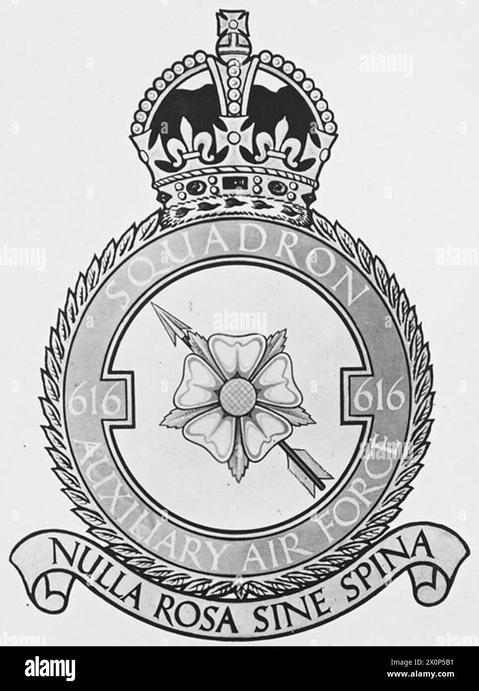 Spina rosa hi-res stock photography and images - Alamy