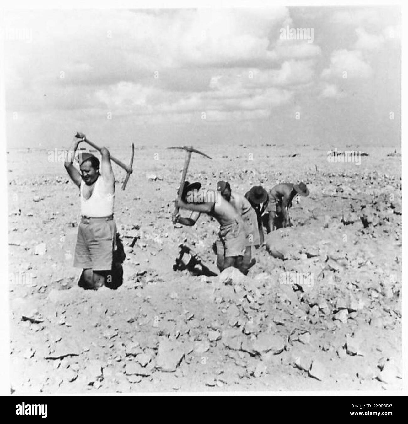 Polish and Australian soldiers dig trenches during the Siege of Tobruk ...