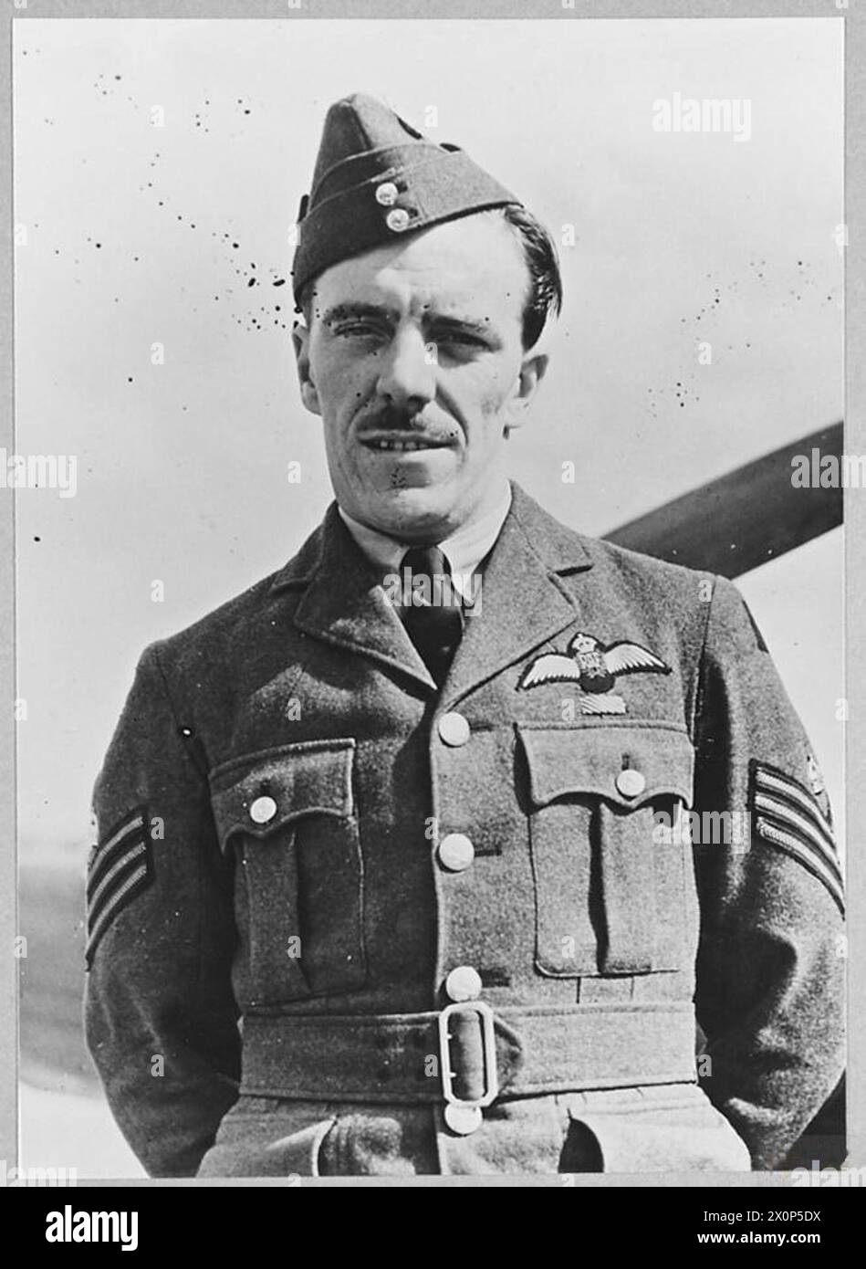 THE BATTLE OF BRITAIN 1940 - Flight Sergeant Harry Steere DFM of No. 19 ...