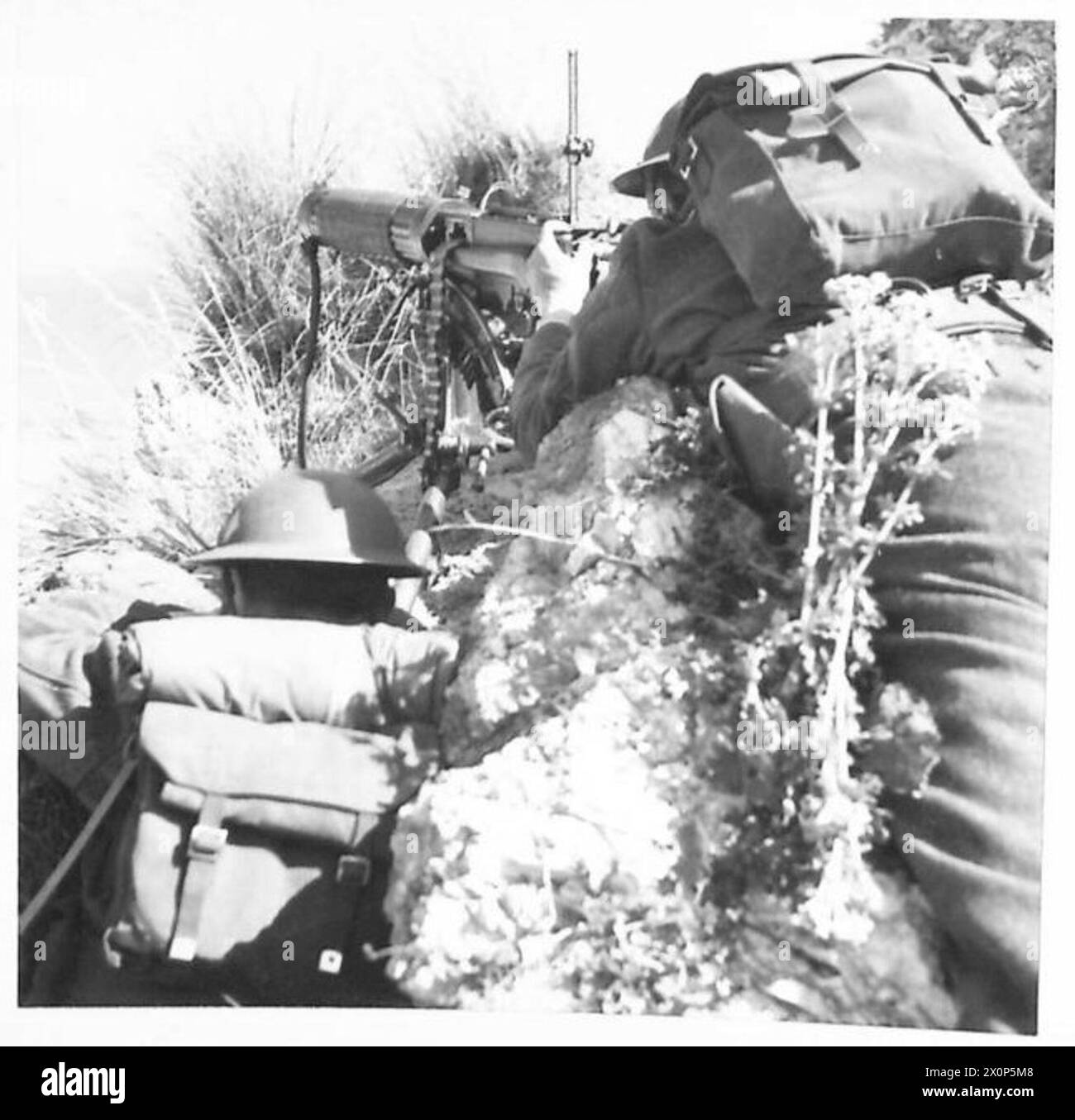 Post on coast in Cut Out Stock Images & Pictures - Alamy