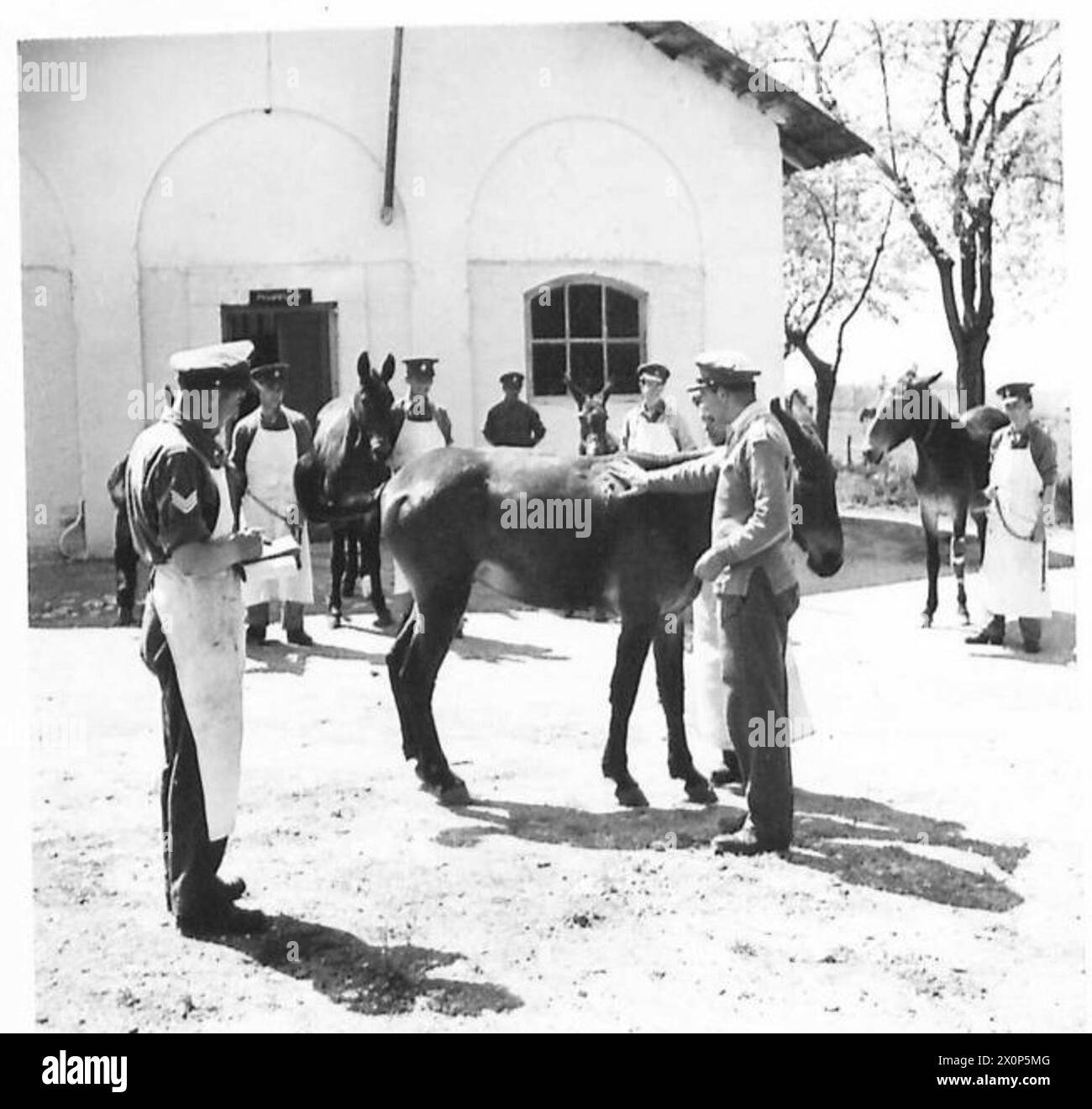 Hospital discharge card hi-res stock photography and images - Alamy