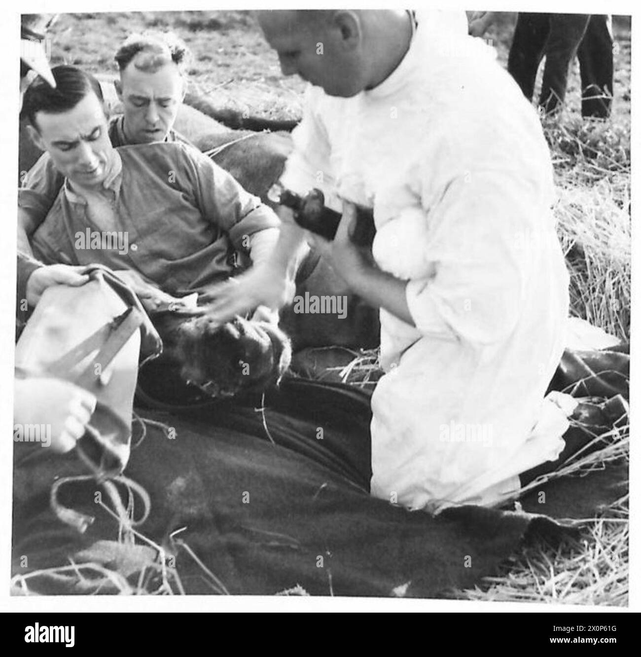 Preparing the horse Cut Out Stock Images & Pictures - Alamy