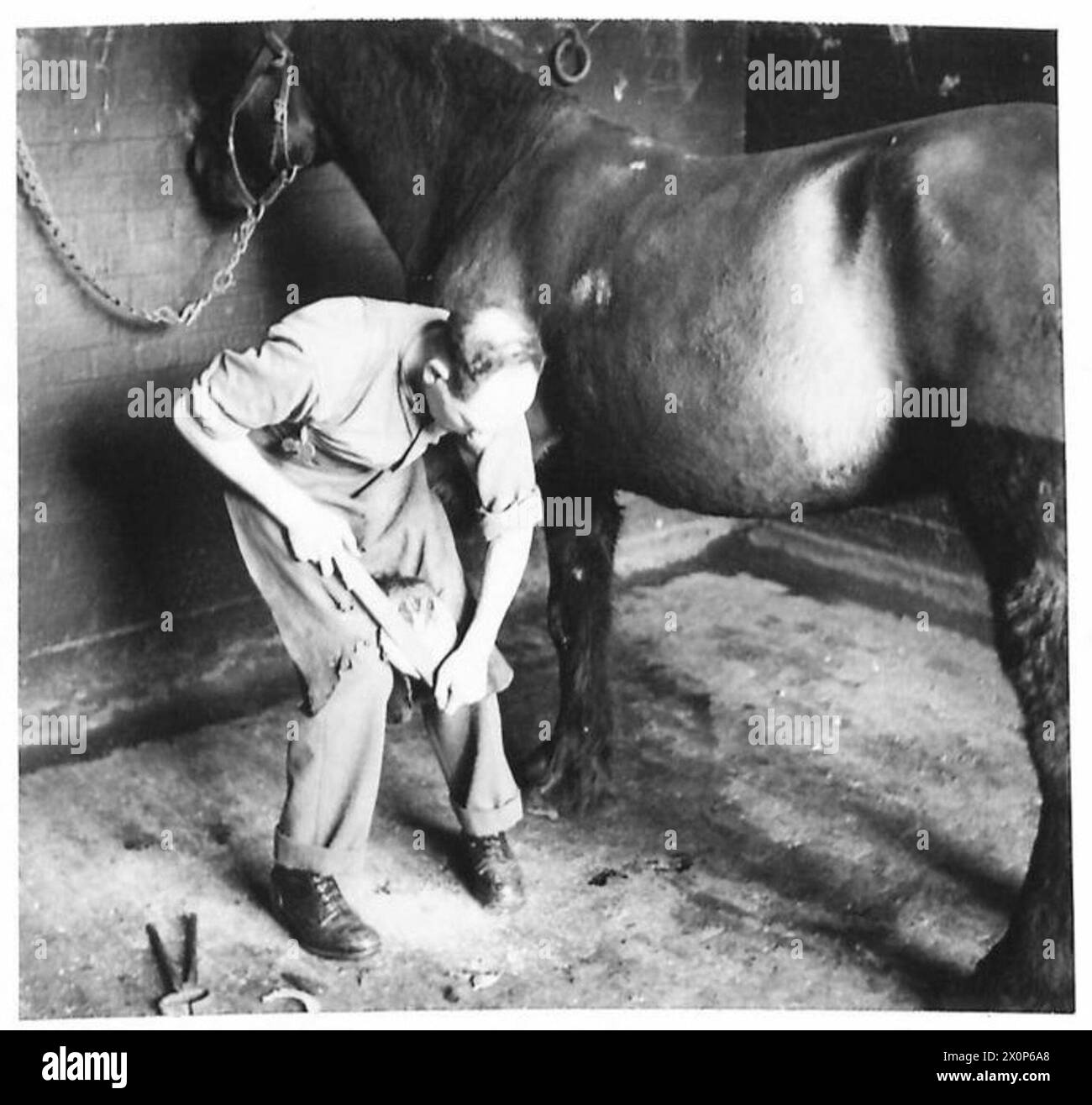 Farrier corps hi-res stock photography and images - Alamy