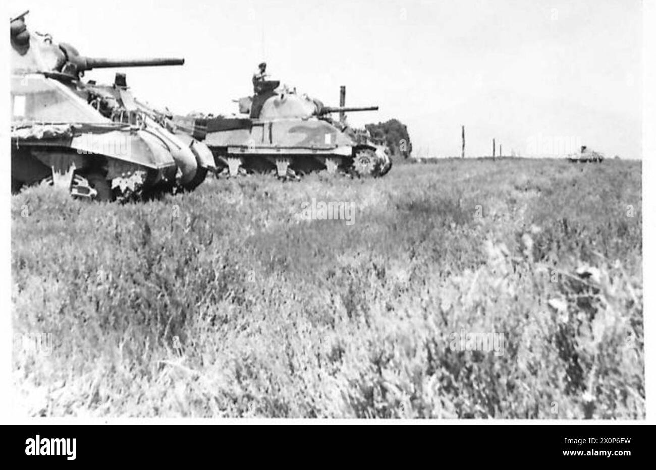 THE BRITISH ARMY IN NORTH AFRICA, SICILY, ITALY, THE BALKANS AND ...