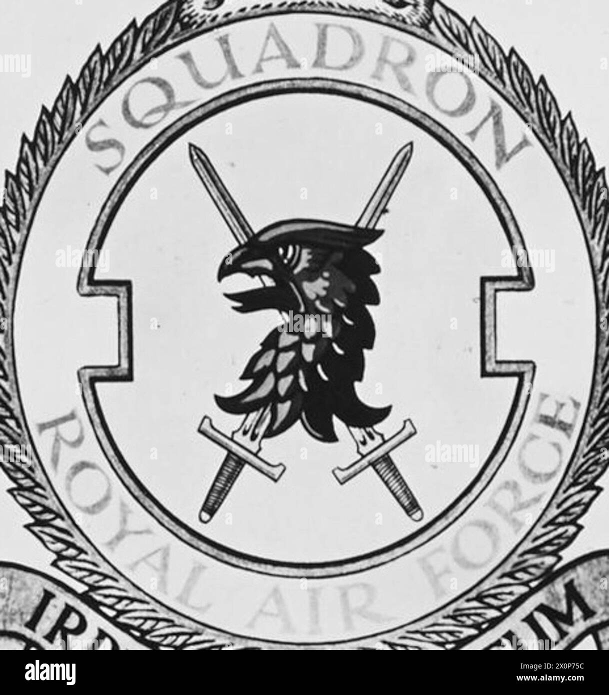 IRRUMUS VASTATUM - The crest of an R.A.F. Squadron "IRRUMUS VASTATUM ...