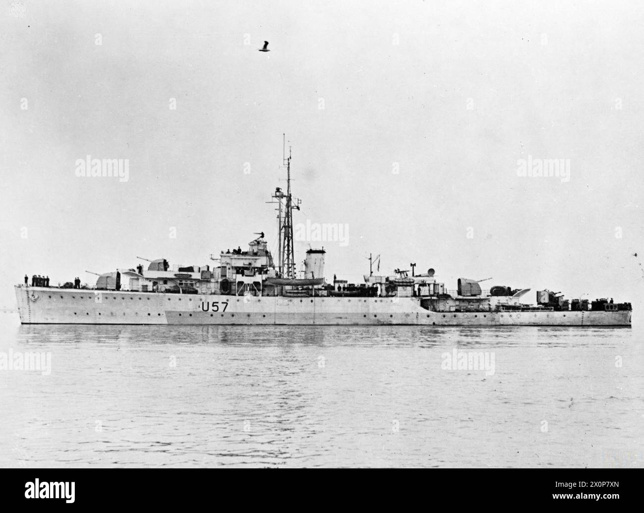 BRITISH WARSHIPS OF THE SECOND WORLD WAR - HMS BLACK SWAN, one of a ...