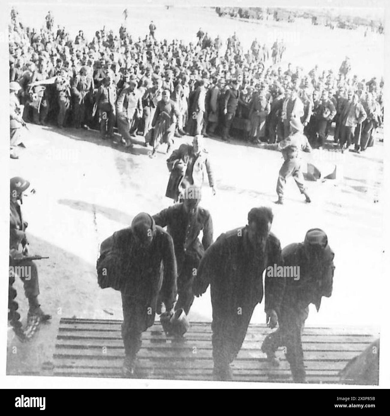 THE BRITISH ARMY IN THE NORMANDY CAMPAIGN 1944 - German prisoners of ...
