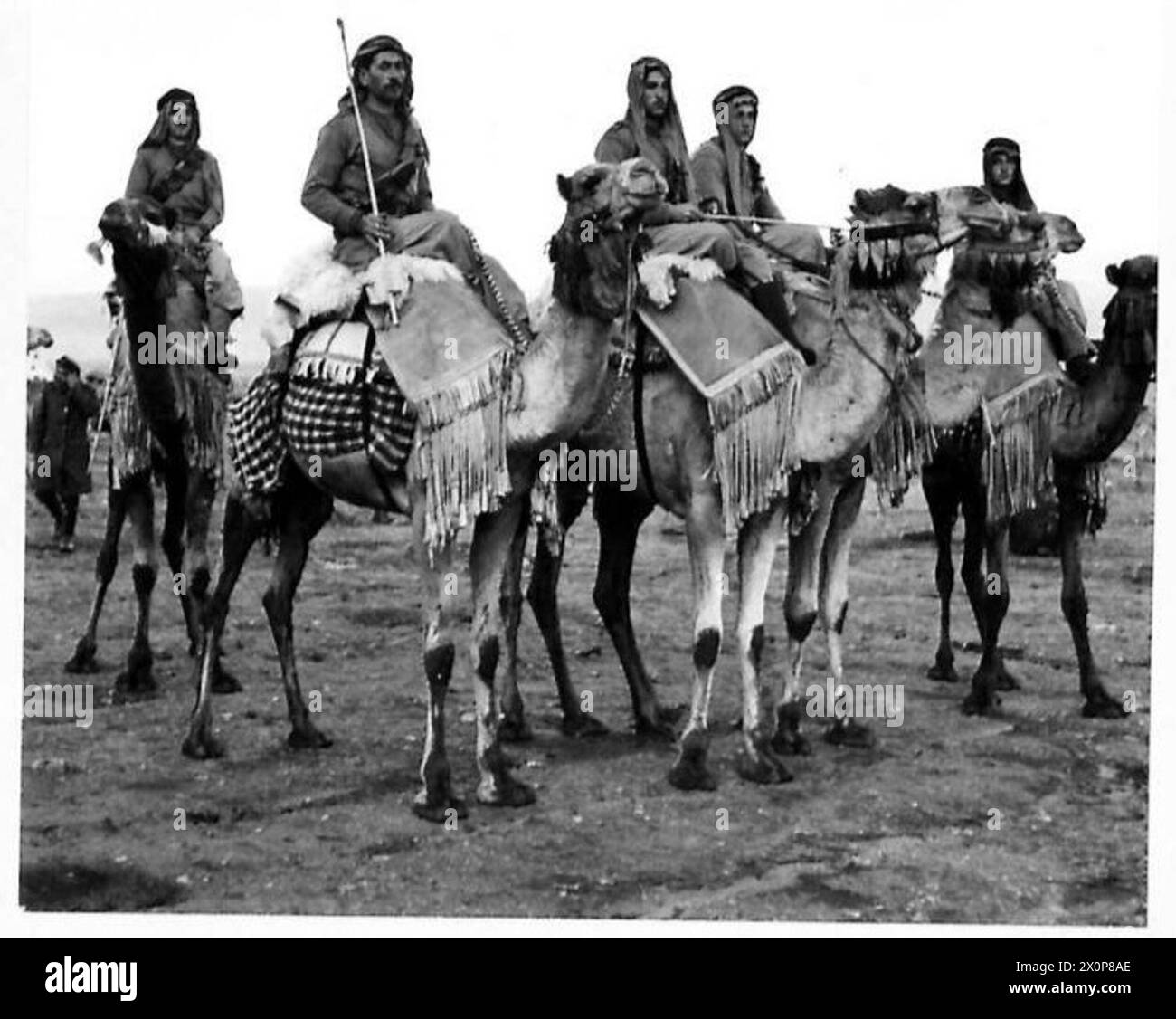 Mounted army officers Cut Out Stock Images & Pictures - Alamy