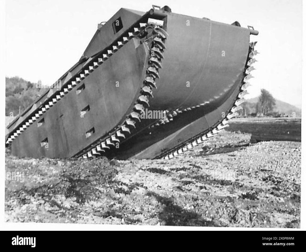 Alligator on land Cut Out Stock Images & Pictures - Alamy