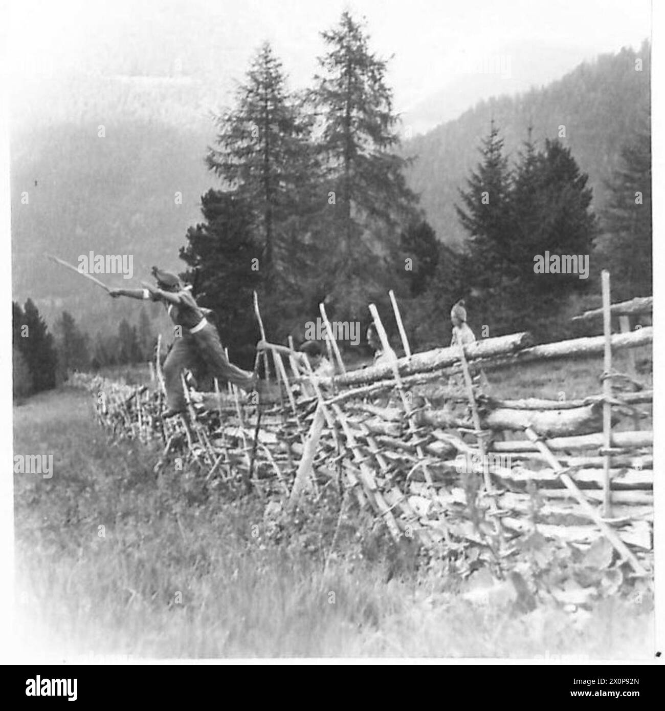 Straying cattle Black and White Stock Photos & Images - Alamy