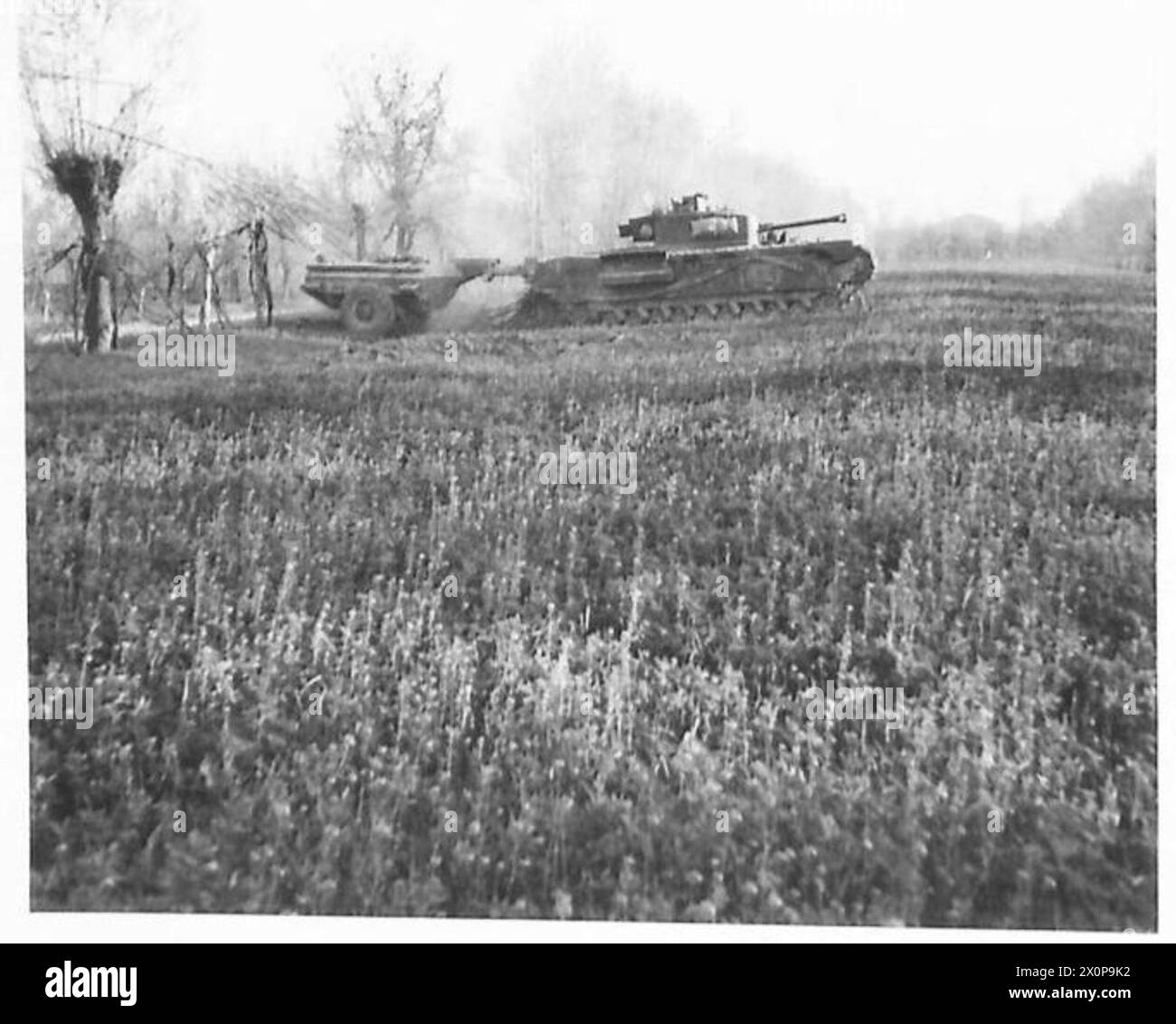 Vines and river Black and White Stock Photos & Images - Alamy