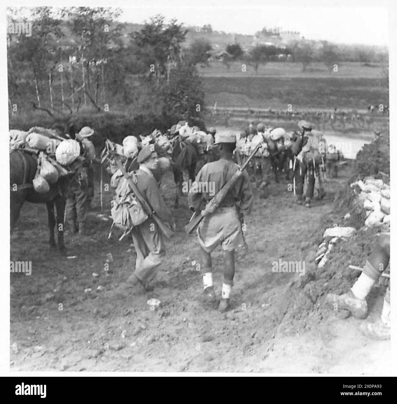 Mules carrying supplies and their muleteers cross the deep Ronco River ...