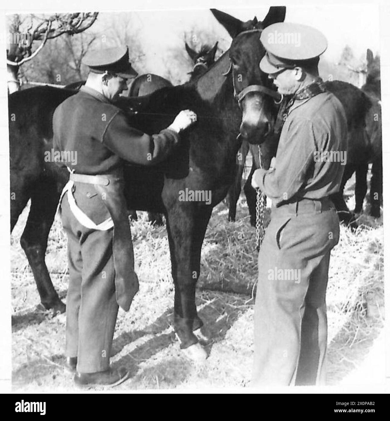 Rest ii Black and White Stock Photos & Images - Alamy