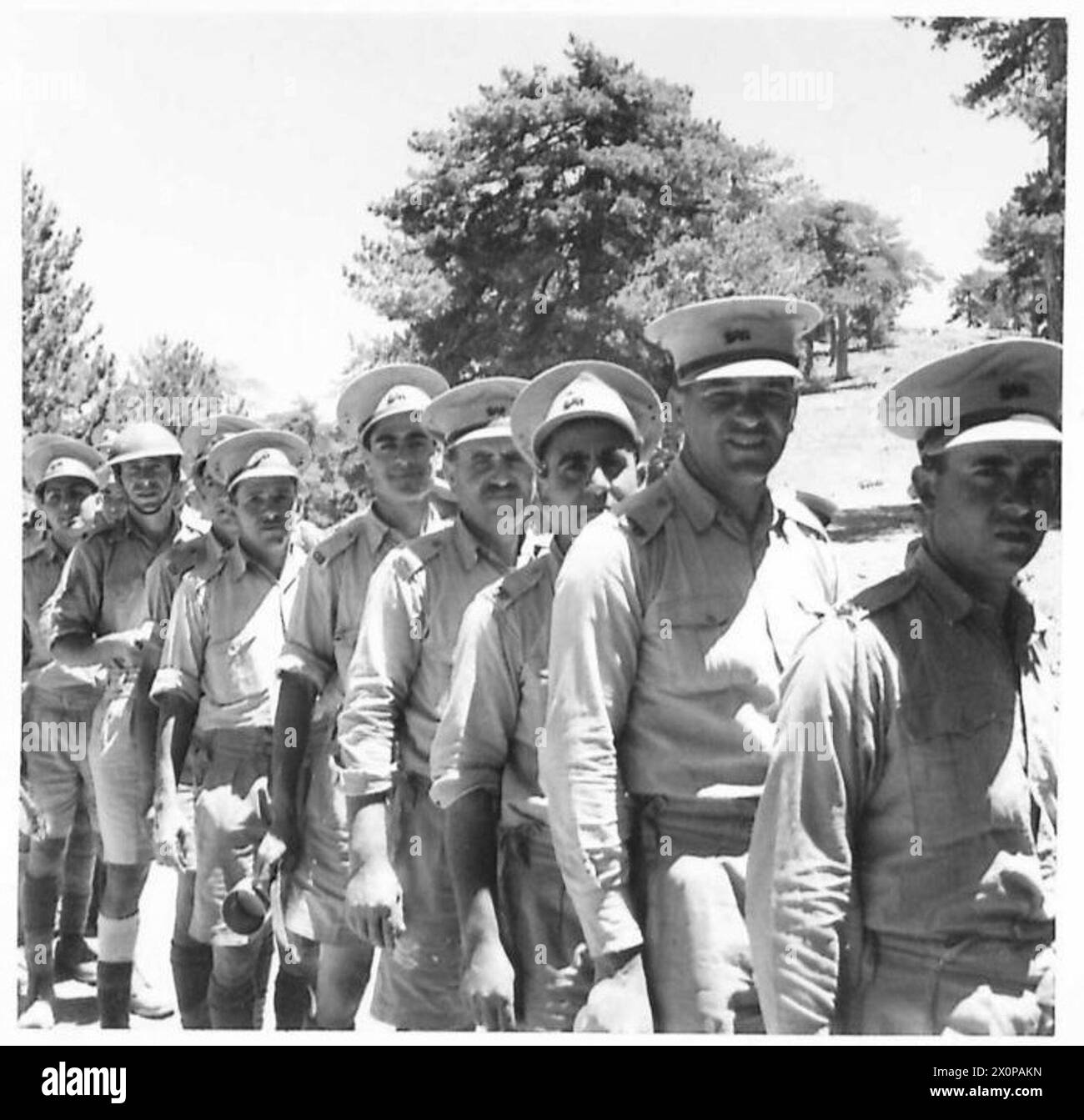 Members of a forestry company of the Cyprus Volunteer Force are lined ...