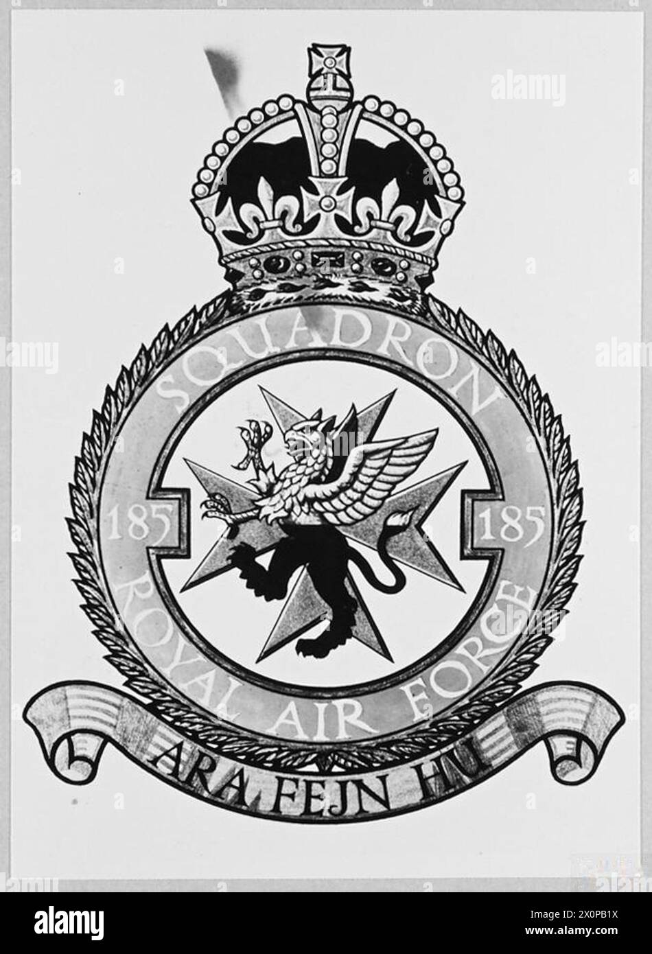 R.A.F. SQUADRON BADGES - No. 185 Squadron R.A.F. "ARA FEJN HU" (Look ...