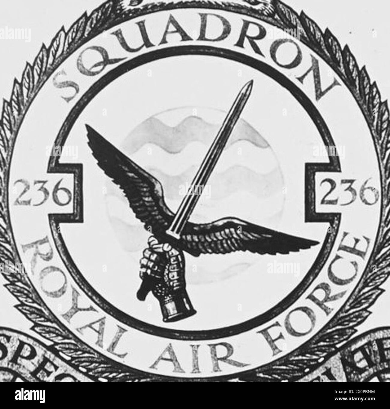 SQUADRON BADGE NO.236 SQUADRON - Description - In front of a fountain a ...