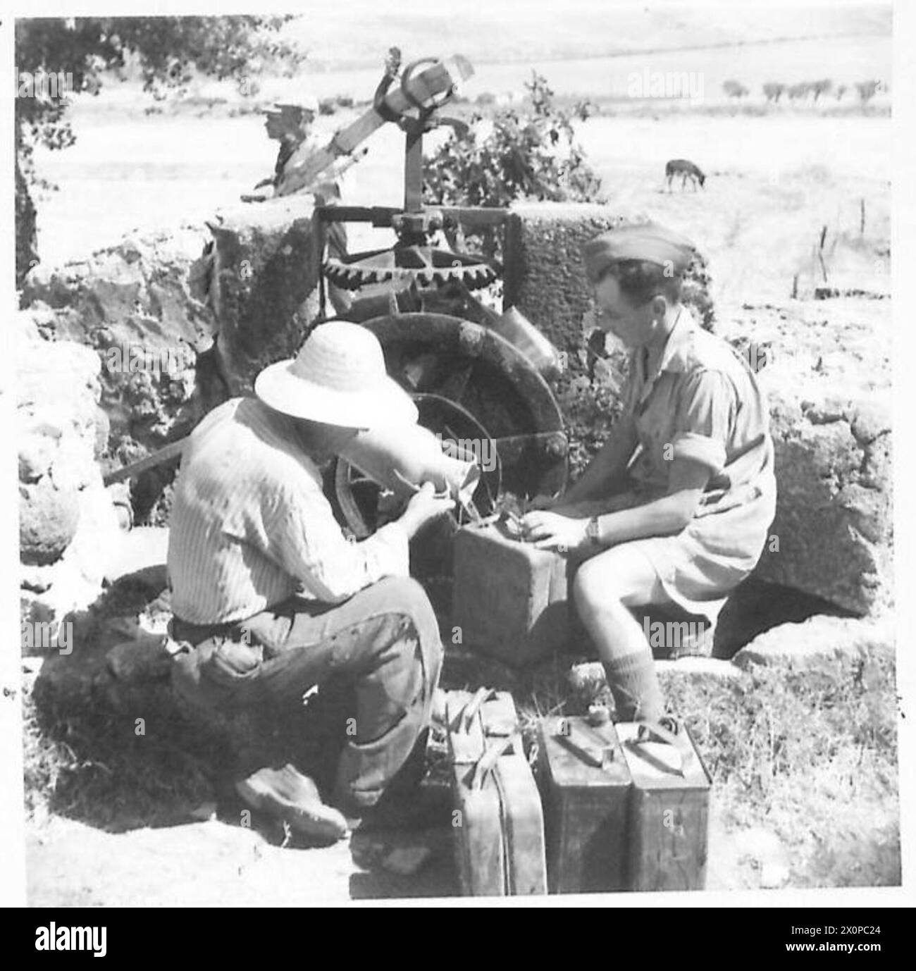 Fresh water soldier Cut Out Stock Images & Pictures - Alamy