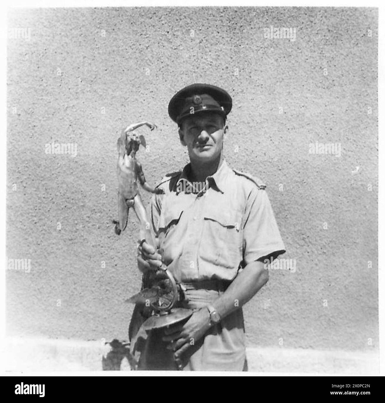 Simcock Cut Out Stock Images & Pictures - Alamy