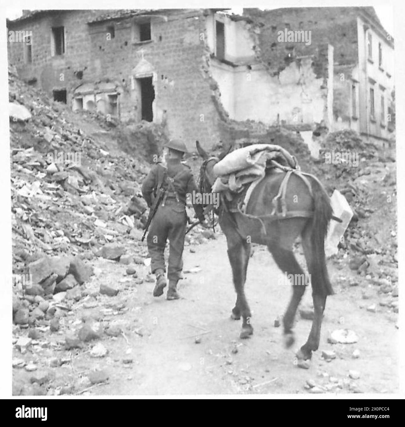 ITALY : FIFTH ARMYKEEPING THE MULES FIT - Mule 99, back at work again ...