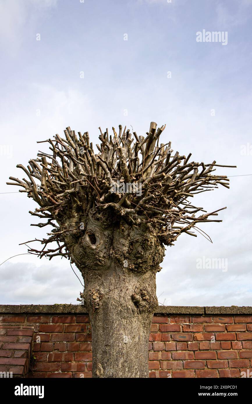 Trimmed copy hi-res stock photography and images - Alamy
