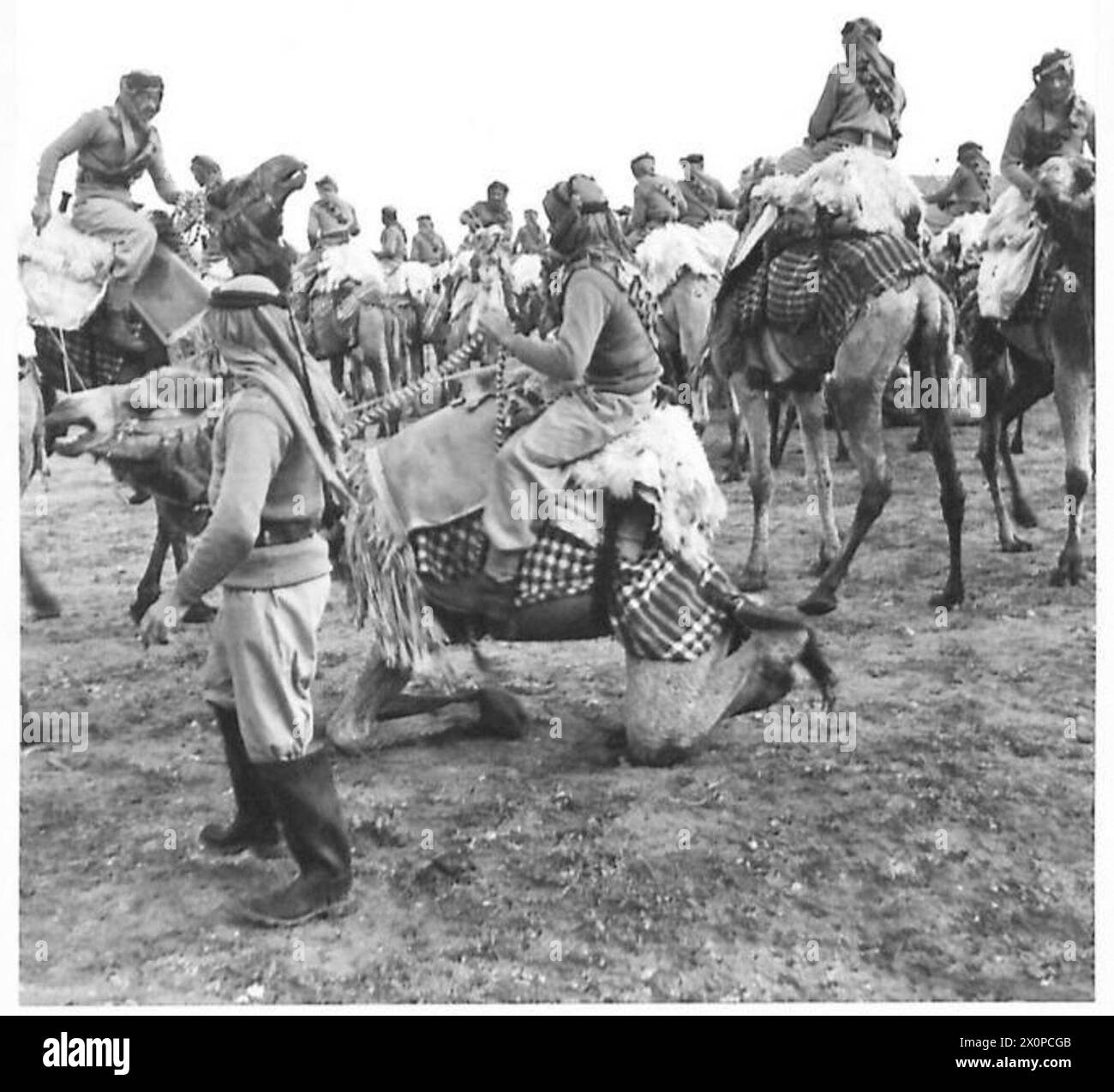 Enlisted men training photograph hi-res stock photography and images ...