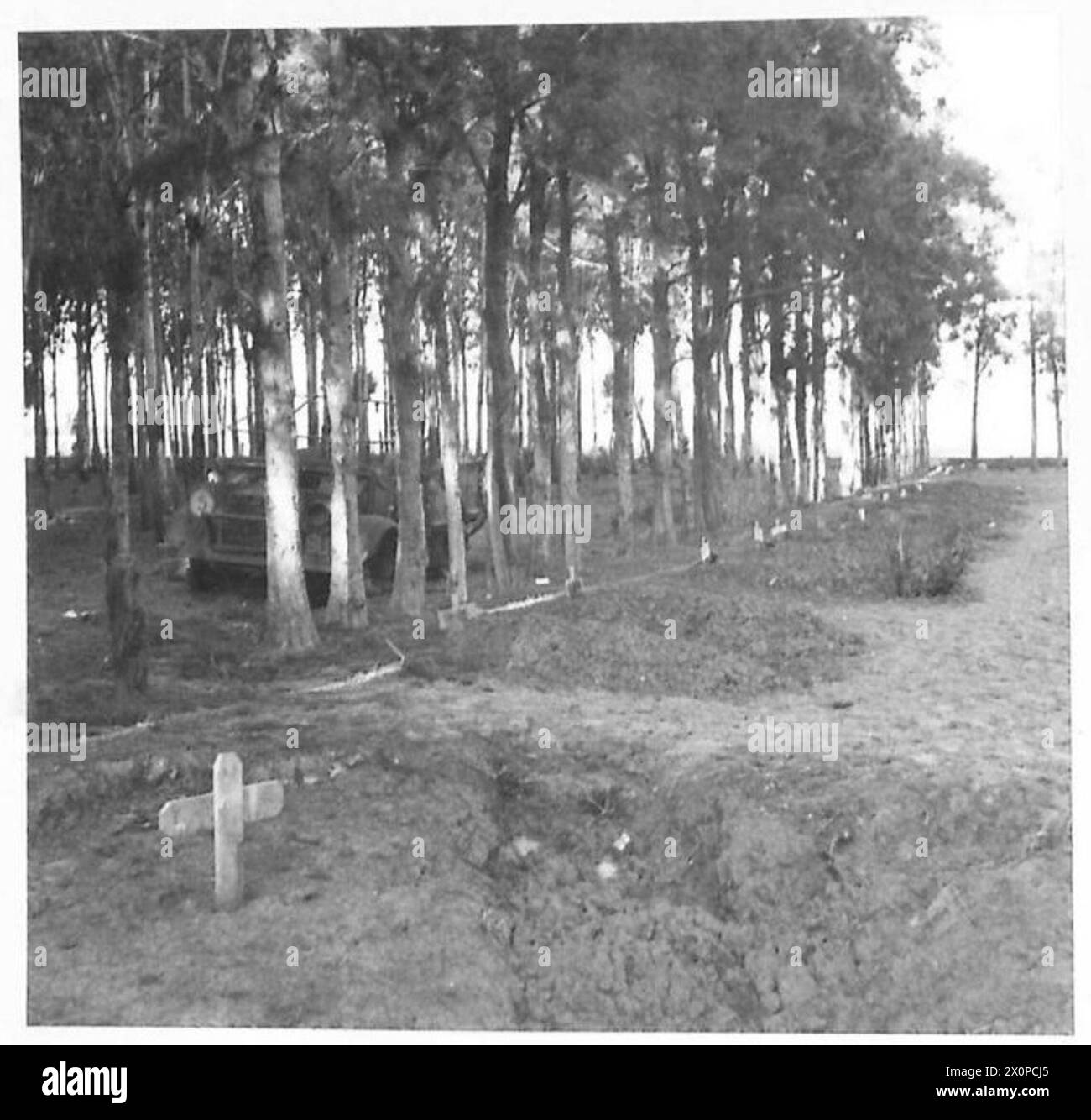 THE BRITISH ARMY IN THE TUNISIA CAMPAIGN, NOVEMBER 1942-MAY 1943 ...