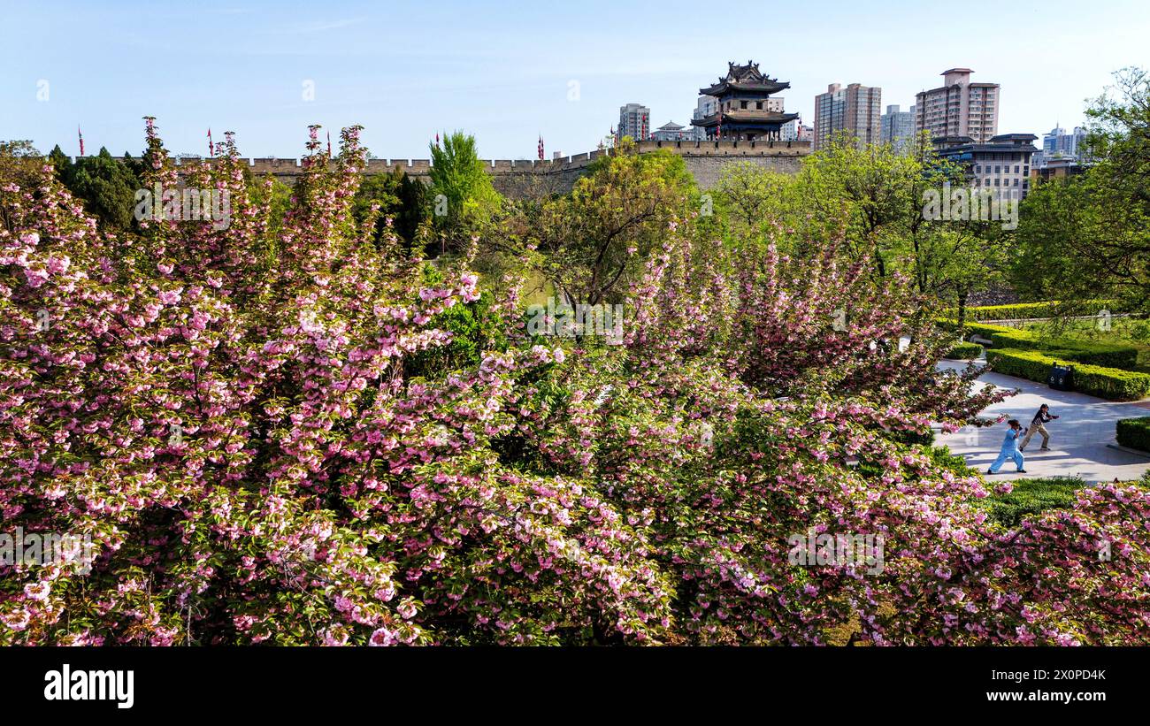 Xi'an, China's Shaanxi Province. 9th Apr, 2024. A drone photo shows a ...