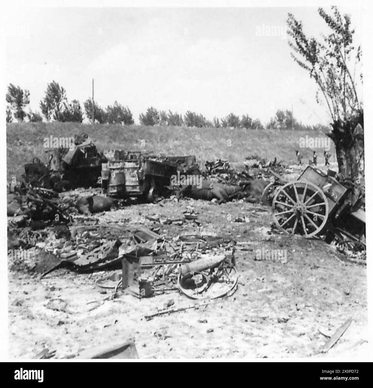 FIFTH ARMY : GERMANS CAUGHT ON THE ROAD TO THE PO - German transport ...