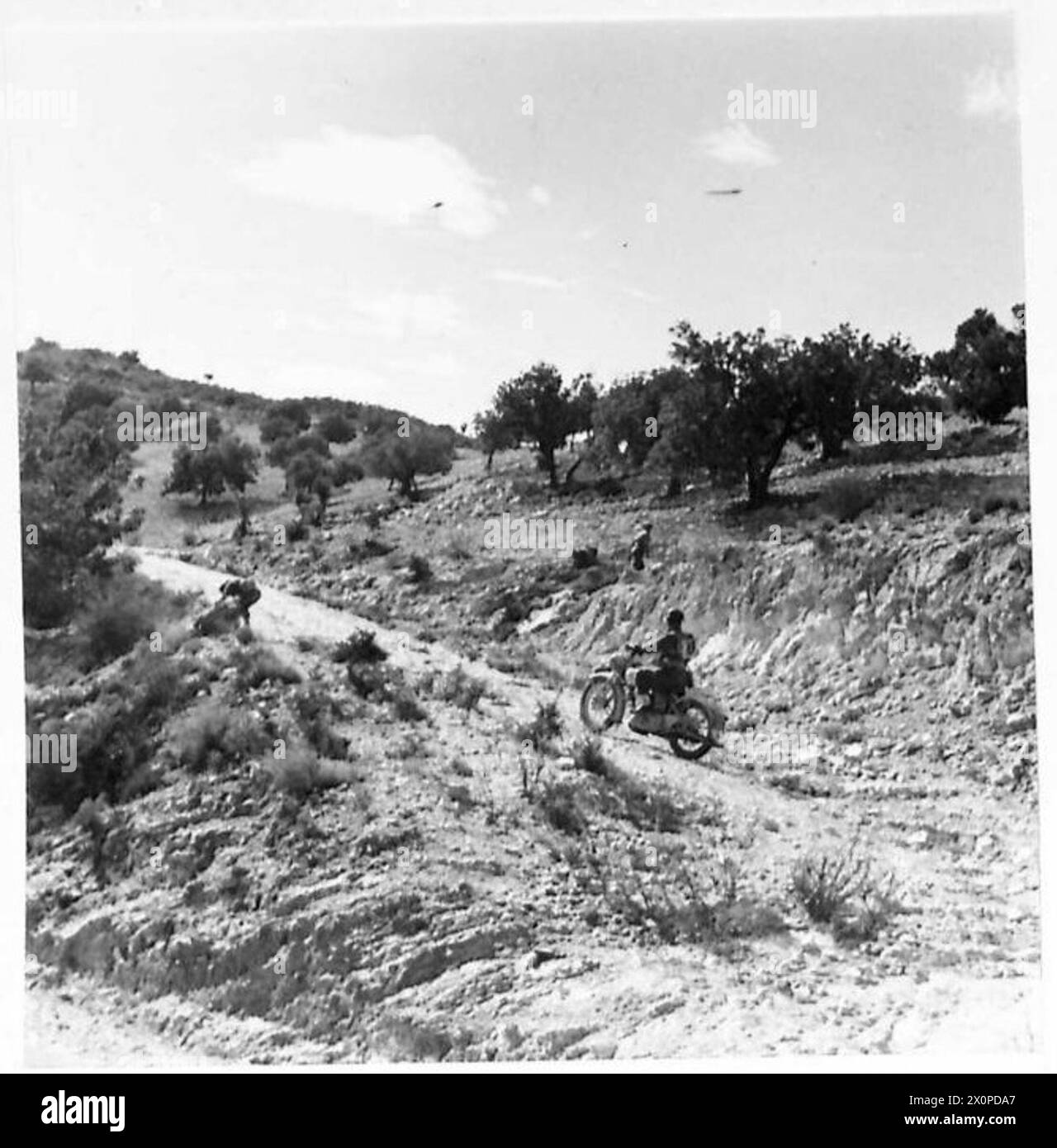 MOTORCYCLE TRIAL FOR DISPATCH RIDERS IN CYPRUS - The beginning of an ...