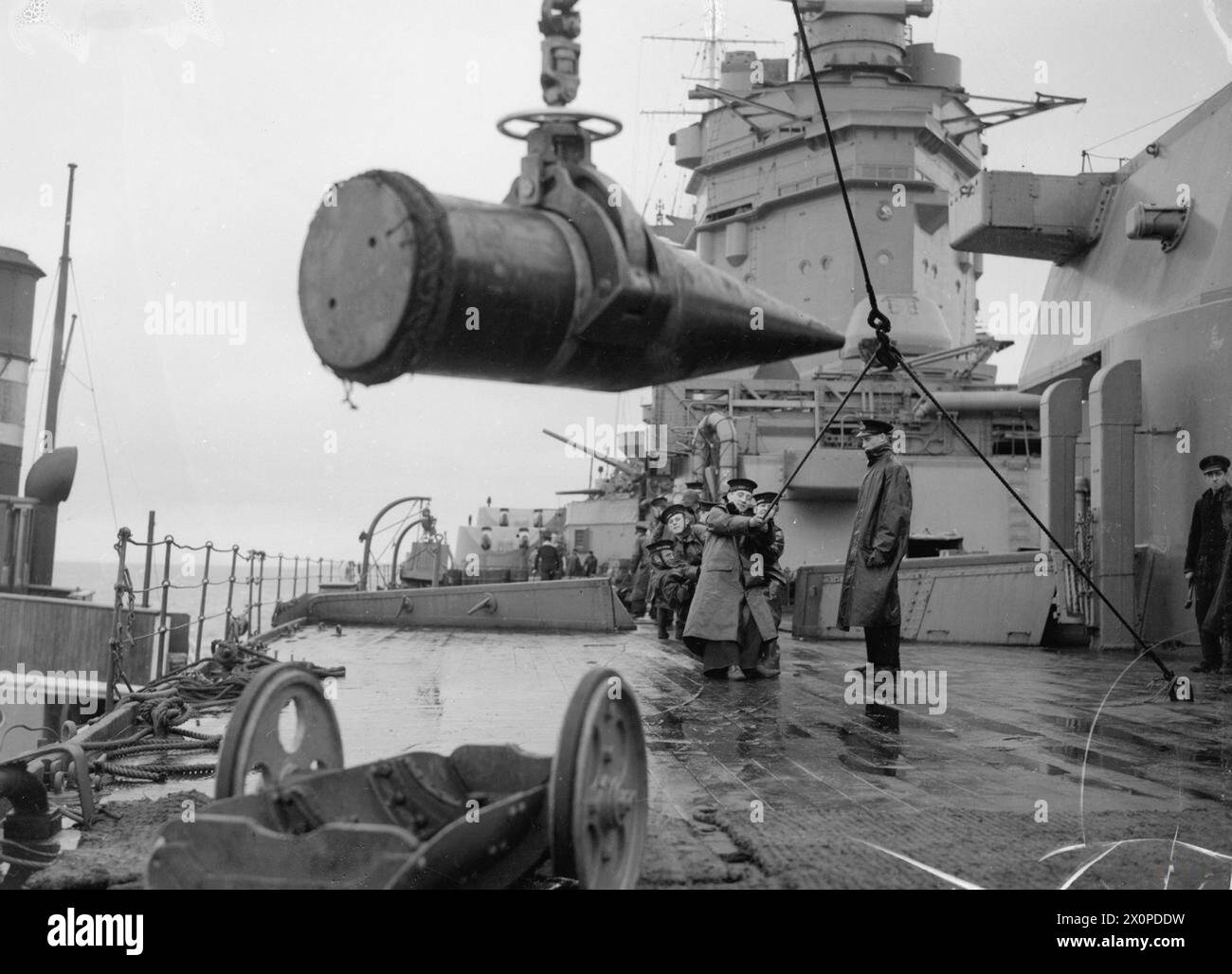 Ten shells hi-res stock photography and images - Alamy