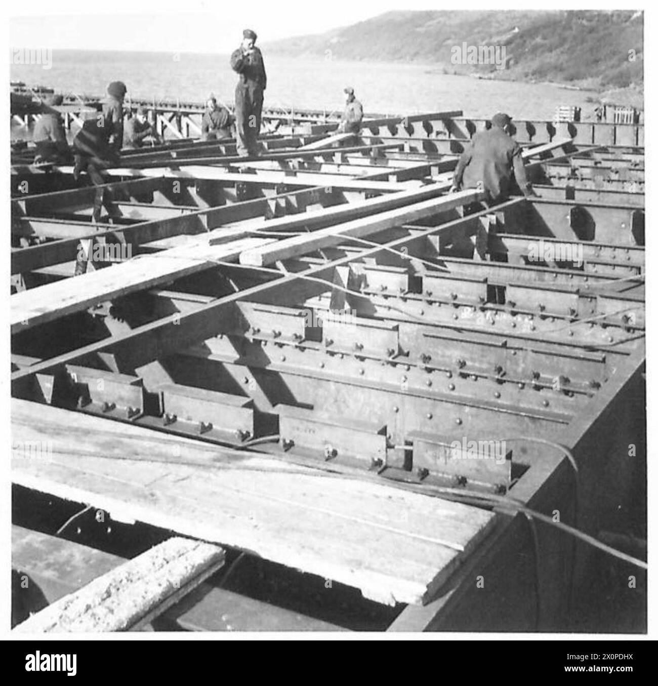 SPECIAL ASSIGNMENT FOR TN.5THE CONSTRUCTION OF A WHALE - Photographs ...