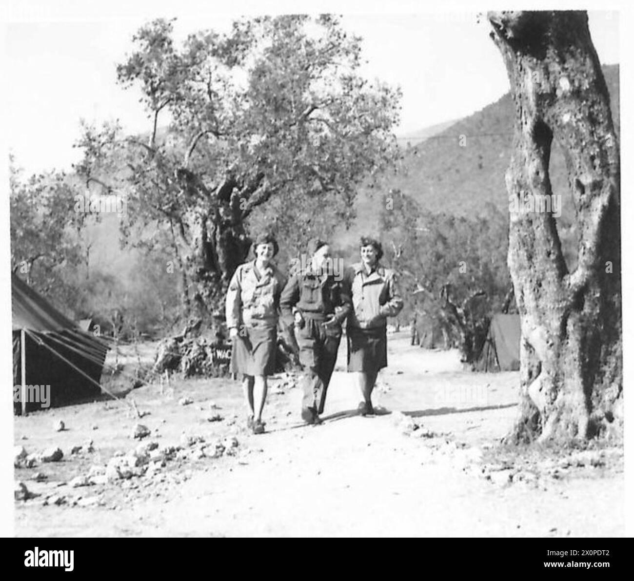 Capturing experiences Cut Out Stock Images & Pictures - Alamy