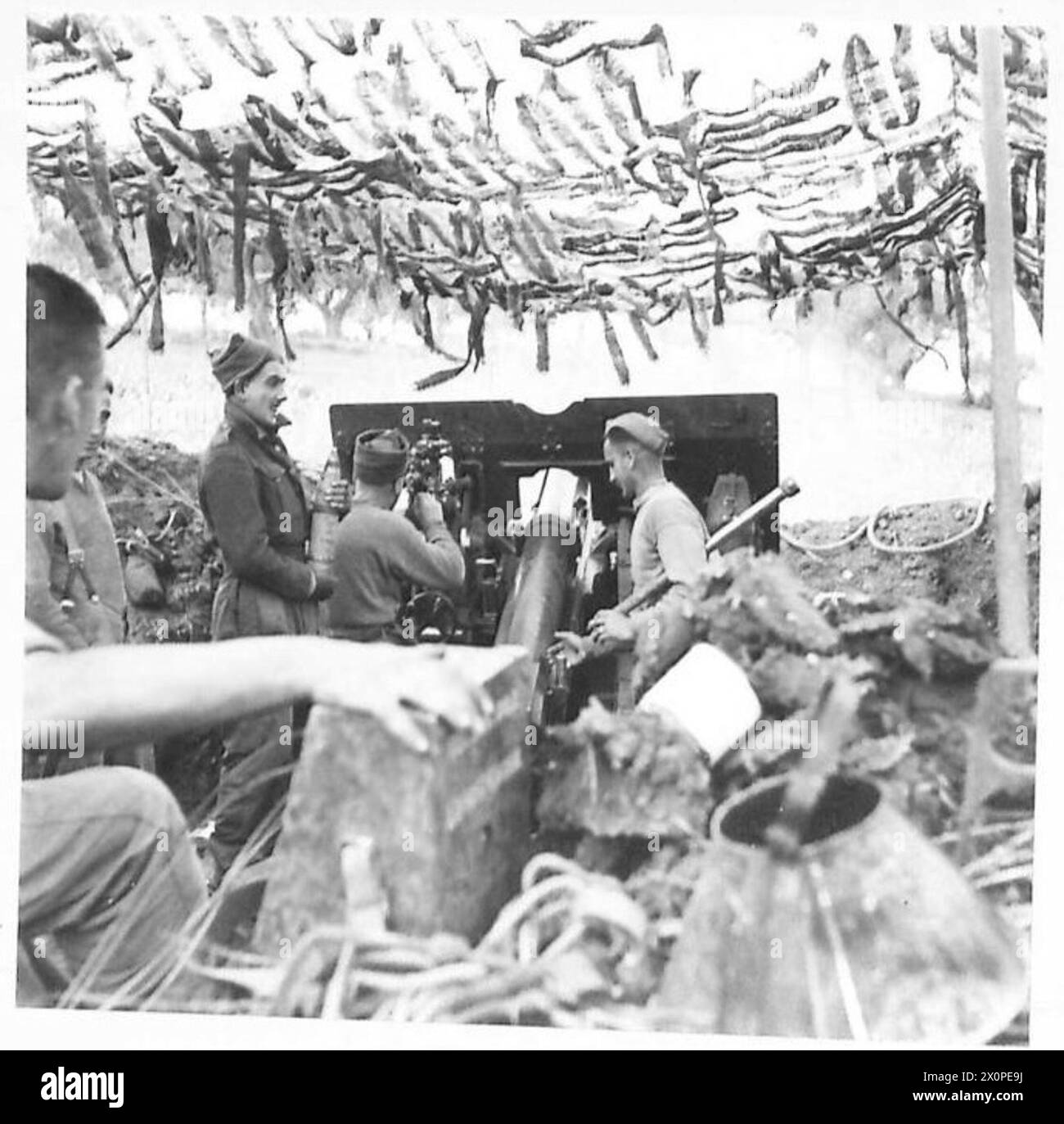 Training support division Cut Out Stock Images & Pictures - Alamy