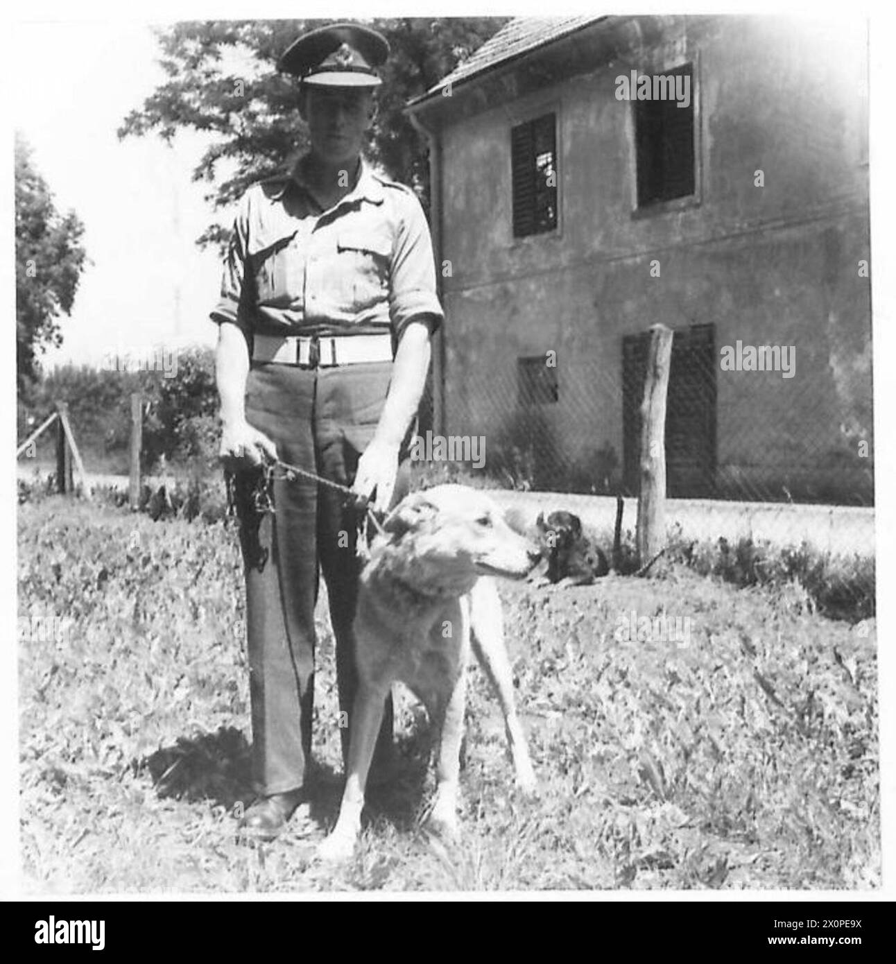 Sgt. Hobbs with the military police dog 'Argus' in the 5 Corps, as ...