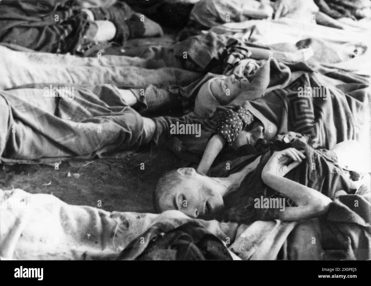 Photograph by Ukrainian journalist Anatoly Kuzin showing bodies lined ...