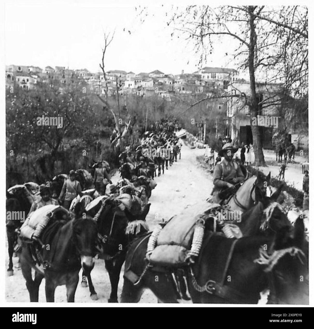 INDIAN MULE PACK COMPANIES - Pack mules seen going through Zgherta ...