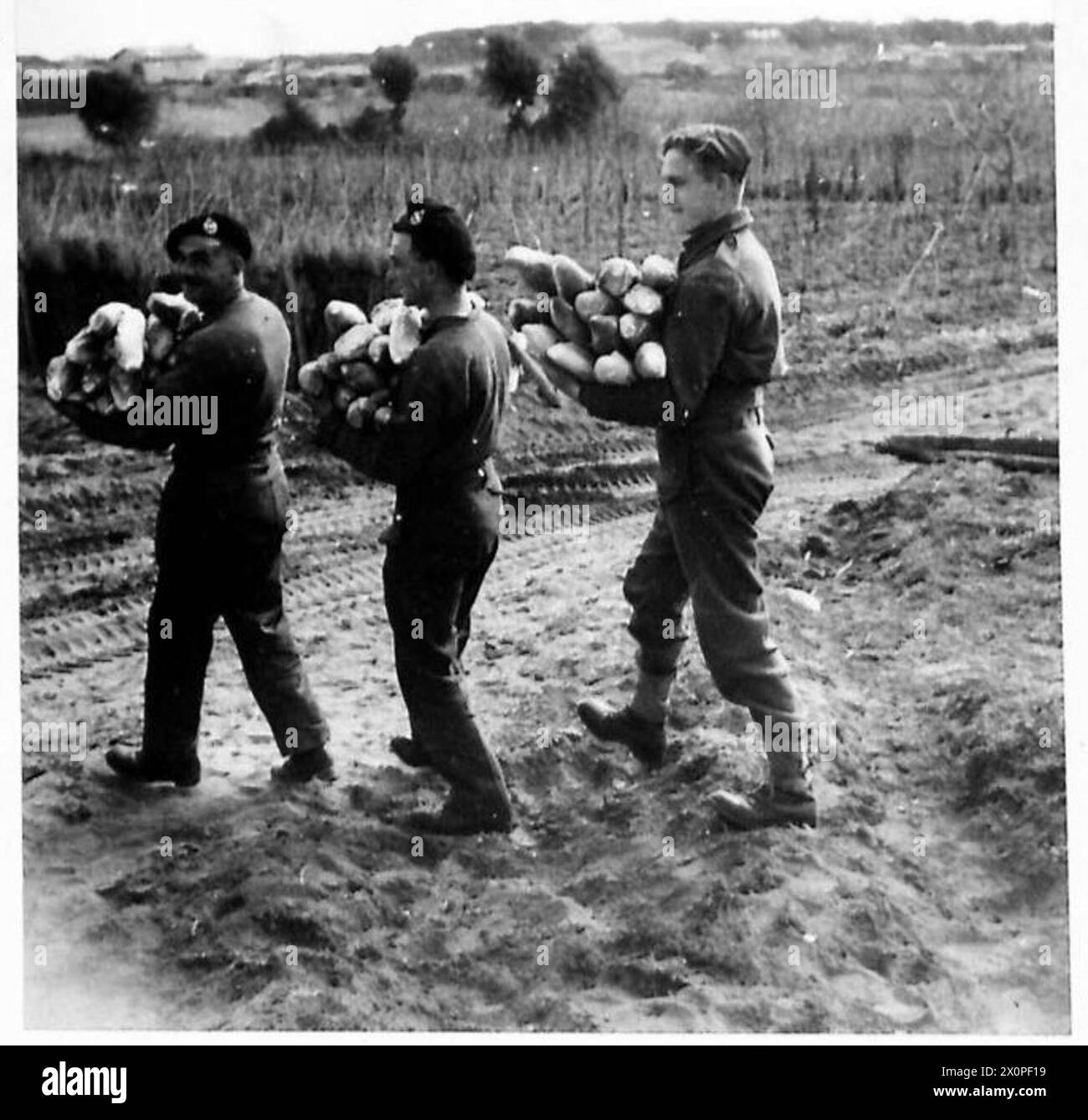ITALY : FIFTH ARMYANZIO BRIDGEHEAD - Bread is now being brought in by ...