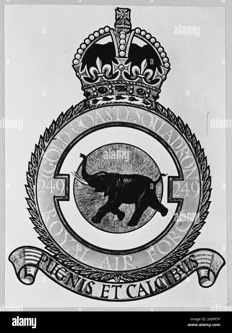 The official badge of No. 249 Squadron RAF, showing squadron emblem and ...