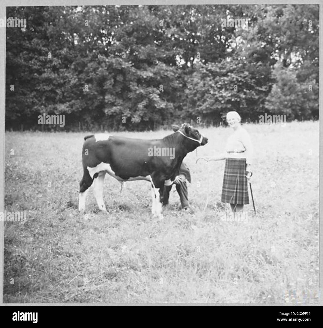 Lady MacRobert is pictured in her Douneside garden, wearing her Clan ...