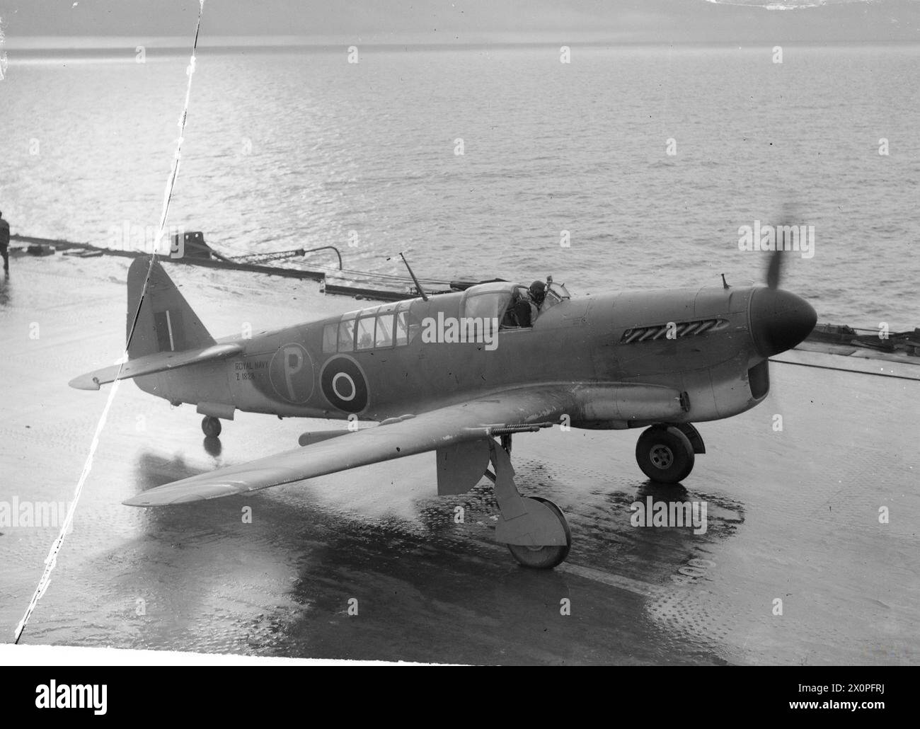 THE FIREFLY - FLEET AIR ARM FIGHTER AIRCRAFT. 8 AND 9 FEBRUARY 1943, ON ...