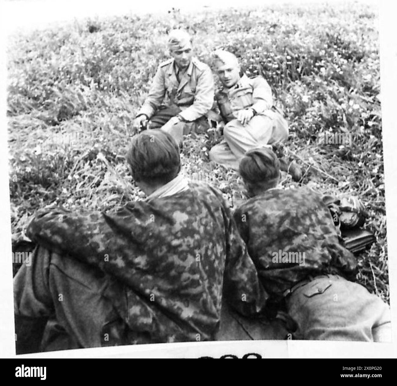 FIRST ARMY IN ACTION NORTH OF BOU ARADA - Two German officers chatting ...