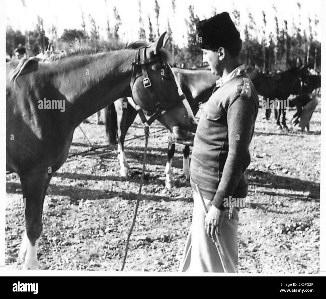 TRANSJORDAN FRONTIER FORCE - No.2 Troop Officer Mulszin Shaker Rasmi ...