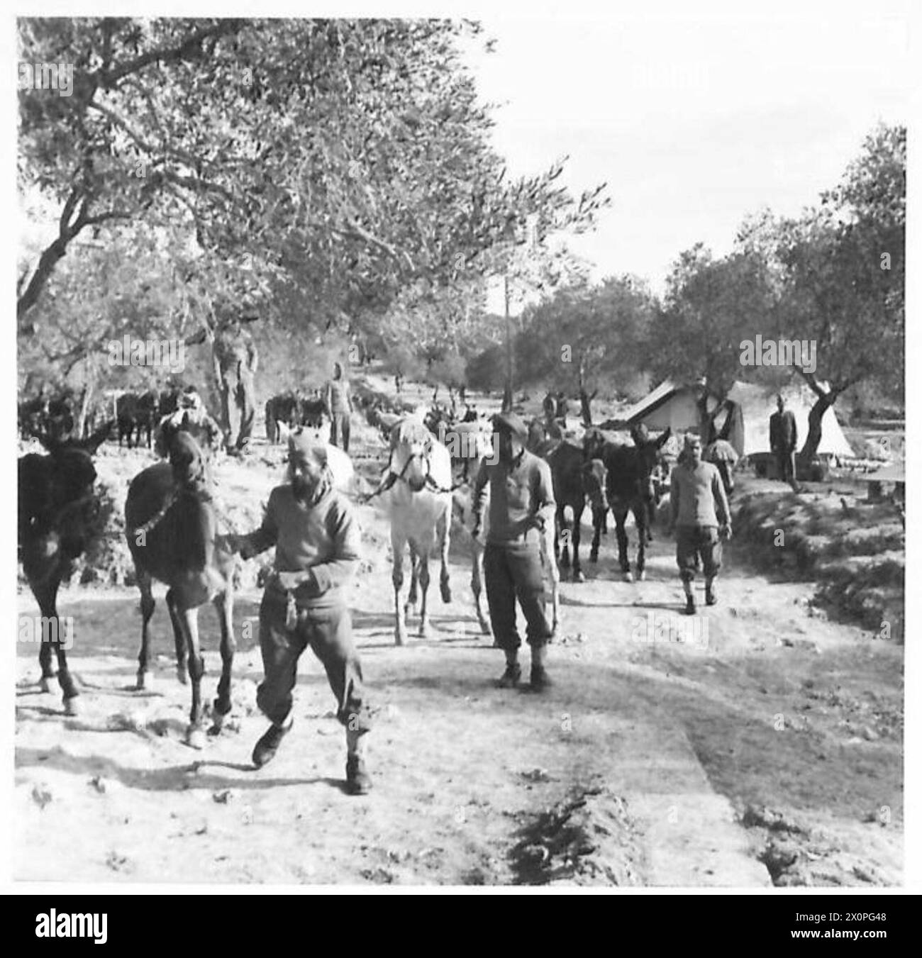 Water troughs Cut Out Stock Images & Pictures - Alamy